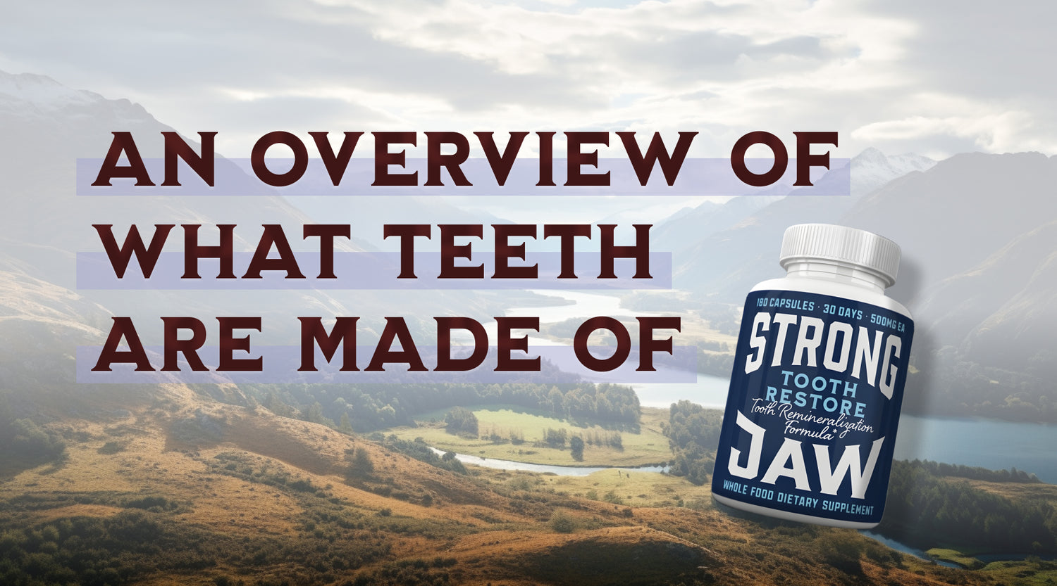 What Are Teeth Made Of? An Overview of Human Tooth Anatomy and Functio ...